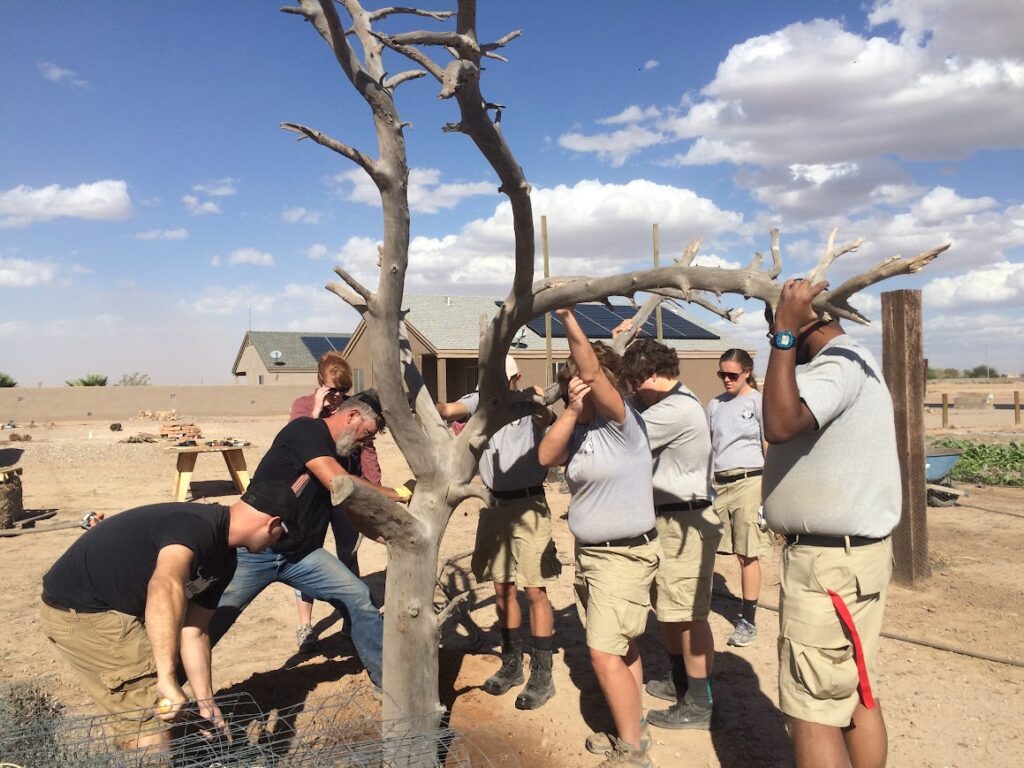 Volunteer - AZ Wildlife Resource