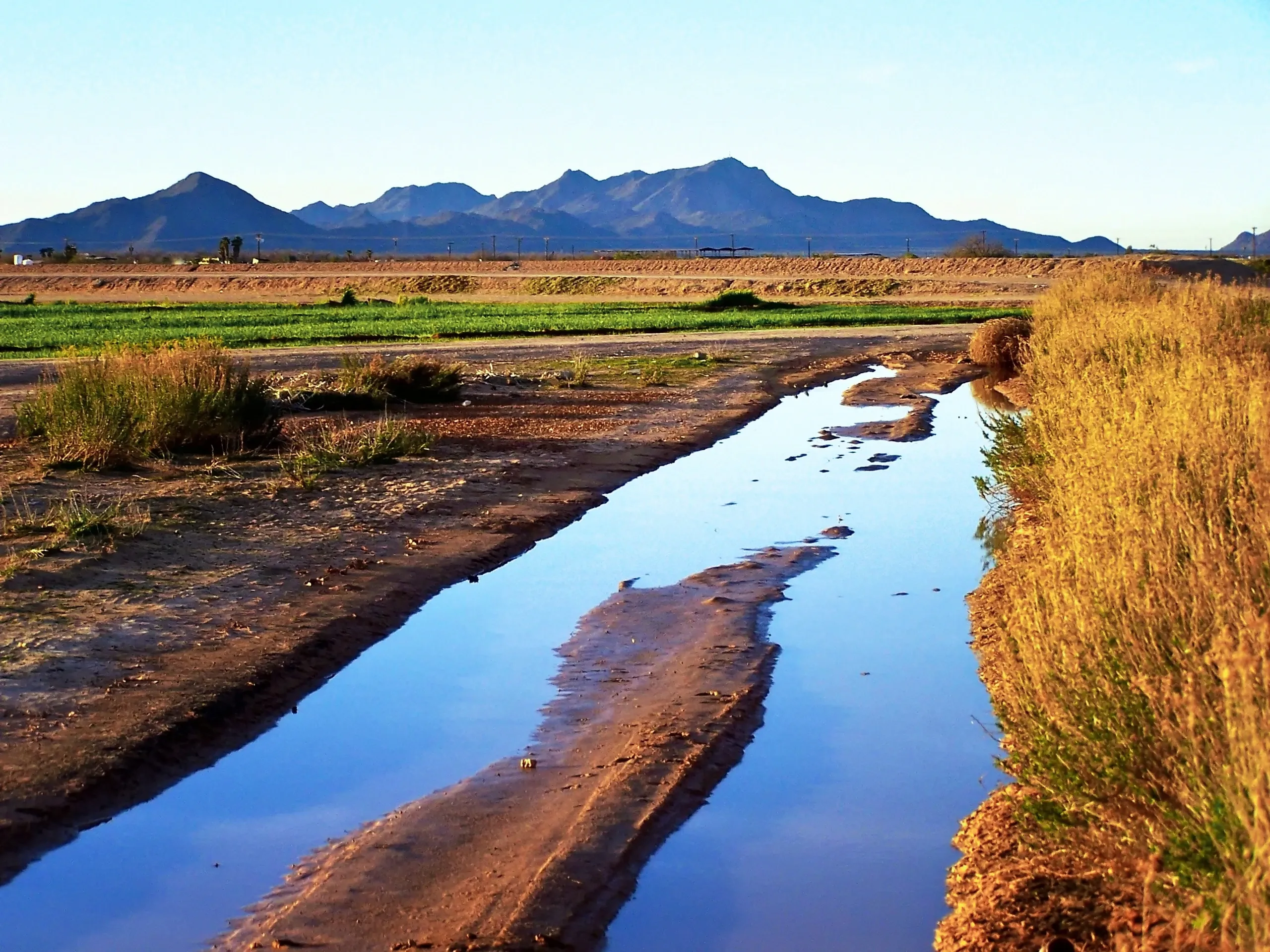 How to Create a Water Source for Wildlife - AZ Wildlife Resource